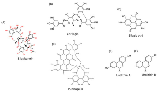 Anti-COVID-19 Potential of Ellagic Acid and Polyphenols of Punica ...