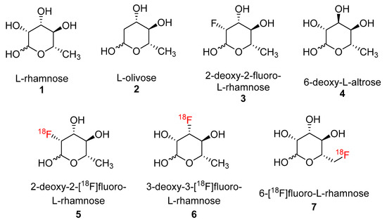 Synthesis and Evaluation of Fluorine-18-Labeled L-Rhamnose Derivatives