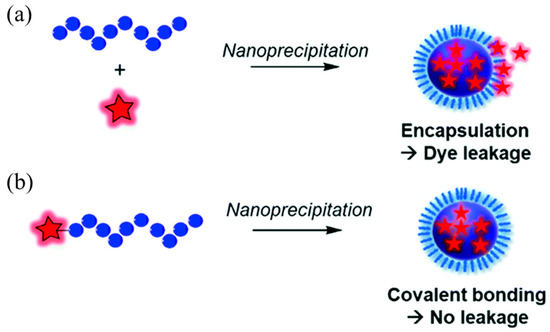 Design, Synthesis, and Biomedical Application of Multifunctional ...