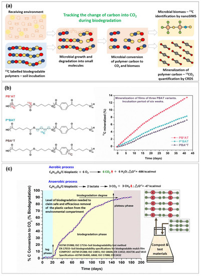 Redesigning Carbon–Carbon Backbone Polymers for Biodegradability ...