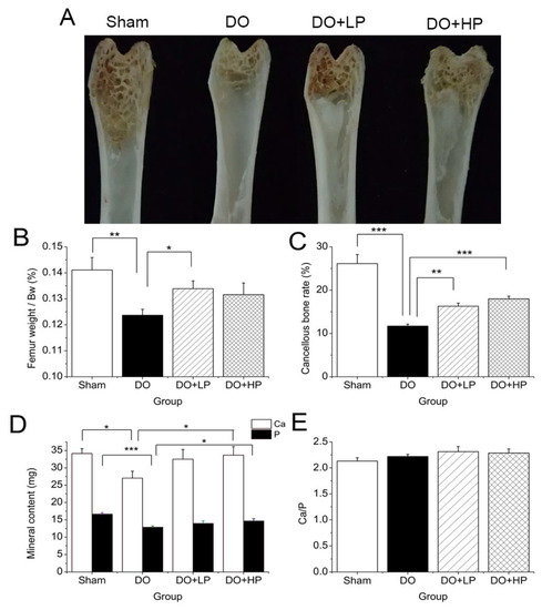 D-Pinitol Improved Glucose Metabolism and Inhibited Bone Loss in Mice ...