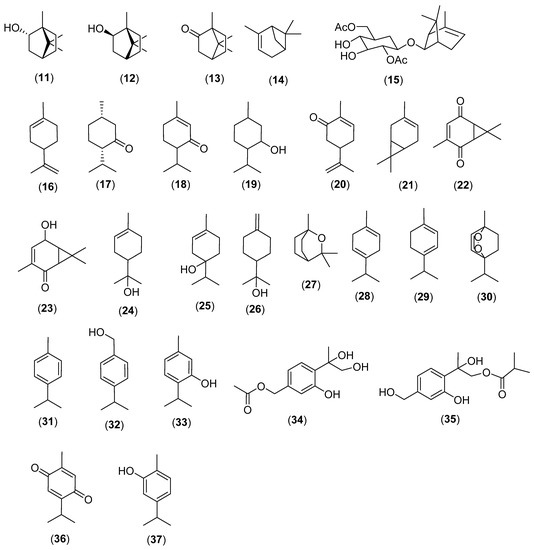 Antibacterial and Antifungal Terpenes from the Medicinal Angiosperms of ...