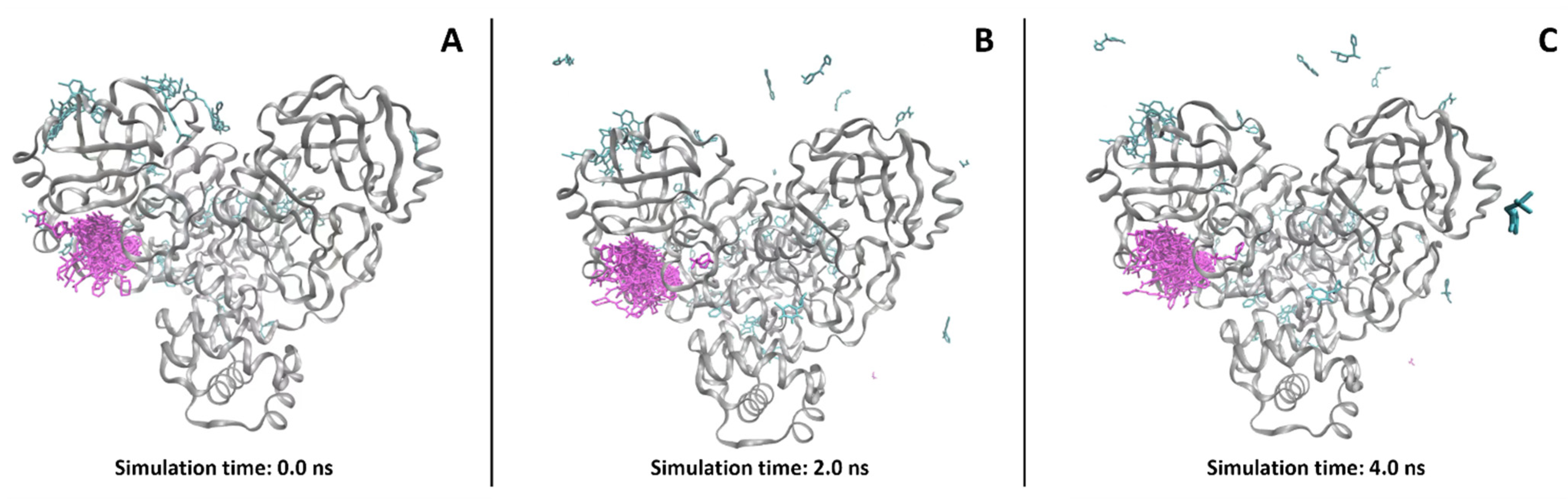 Past, Present, and Future Perspectives on Computer-Aided Drug Design ...