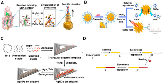 Molecules | Free Full-Text | DNA-Guided Metallization of Nanomaterials ...