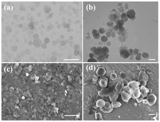 Interactions between Layered Double Hydroxide Nanoparticles and Egg ...