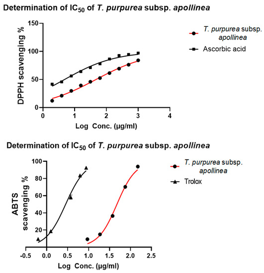 Phytochemical Analysis and Profiling of Antioxidants and Anticancer ...