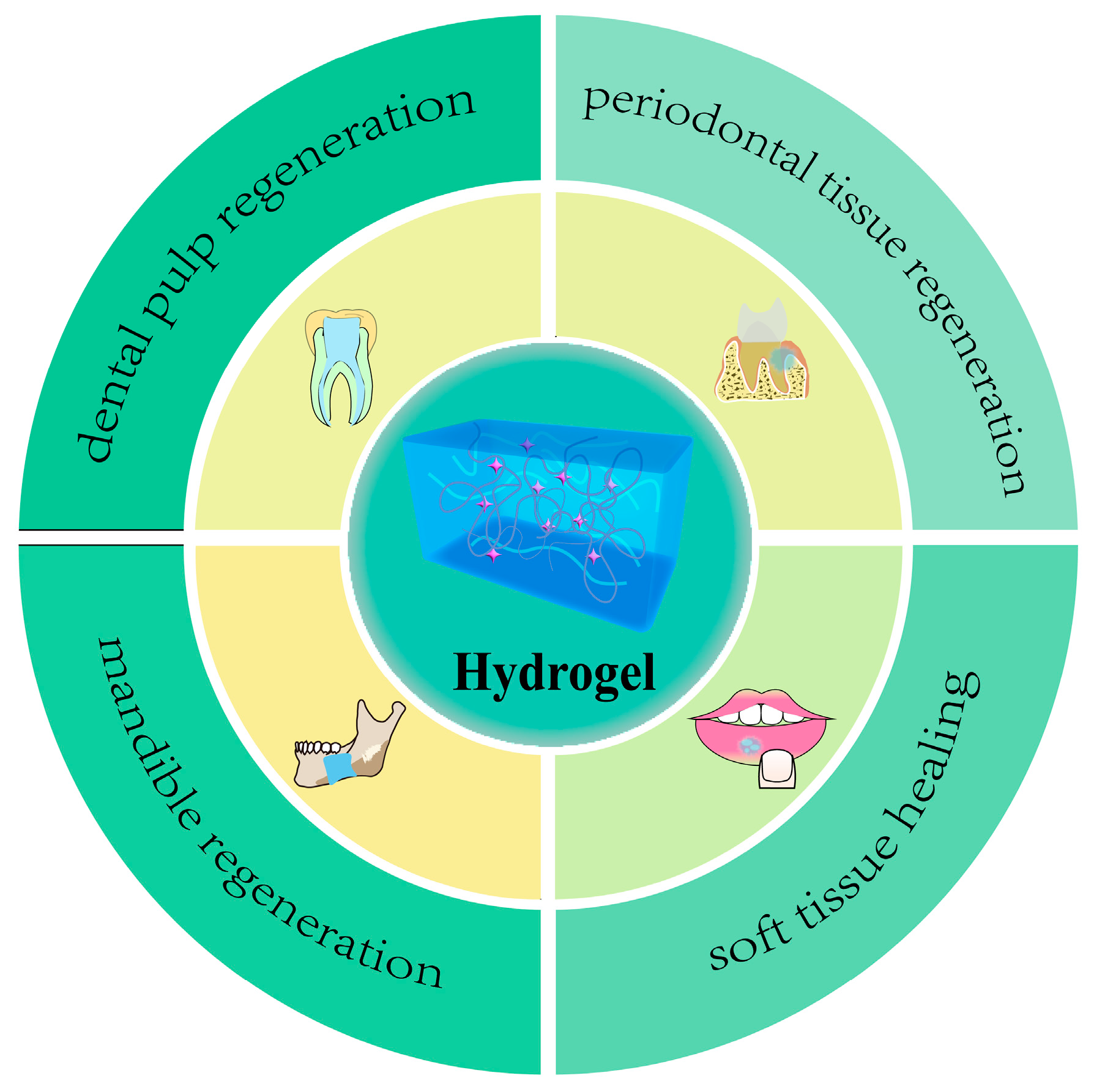 Molecules Free Full Text Hydrogels For Oral Tissue Engineering Challenges And Opportunities