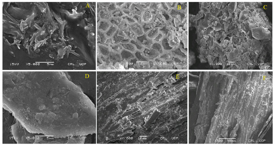 Thermo-Chemical Modification of Cellulose for the Adsorptive Removal of ...