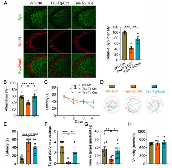 Quercetagitrin Inhibits Tau Accumulation and Reverses Neuroinflammation ...