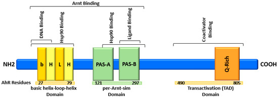 Aryl Hydrocarbon Receptor as an Anticancer Target: An Overview of Ten ...