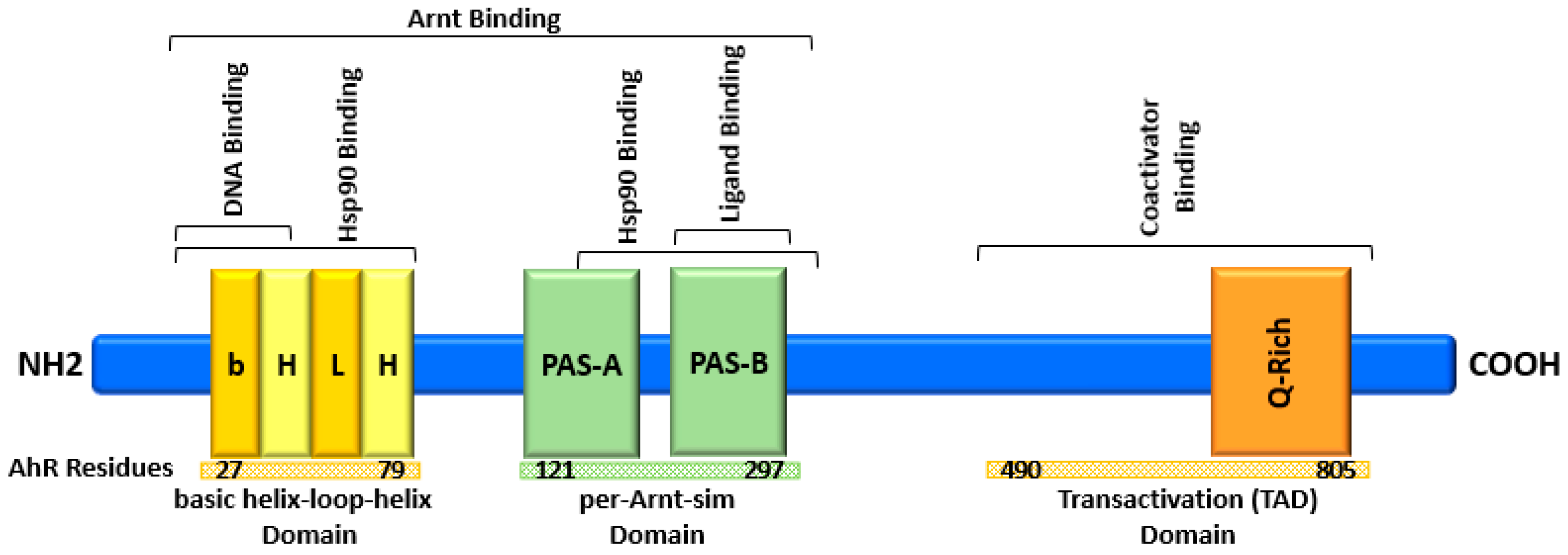 Aryl Hydrocarbon Receptor as an Anticancer Target: An Overview of Ten ...