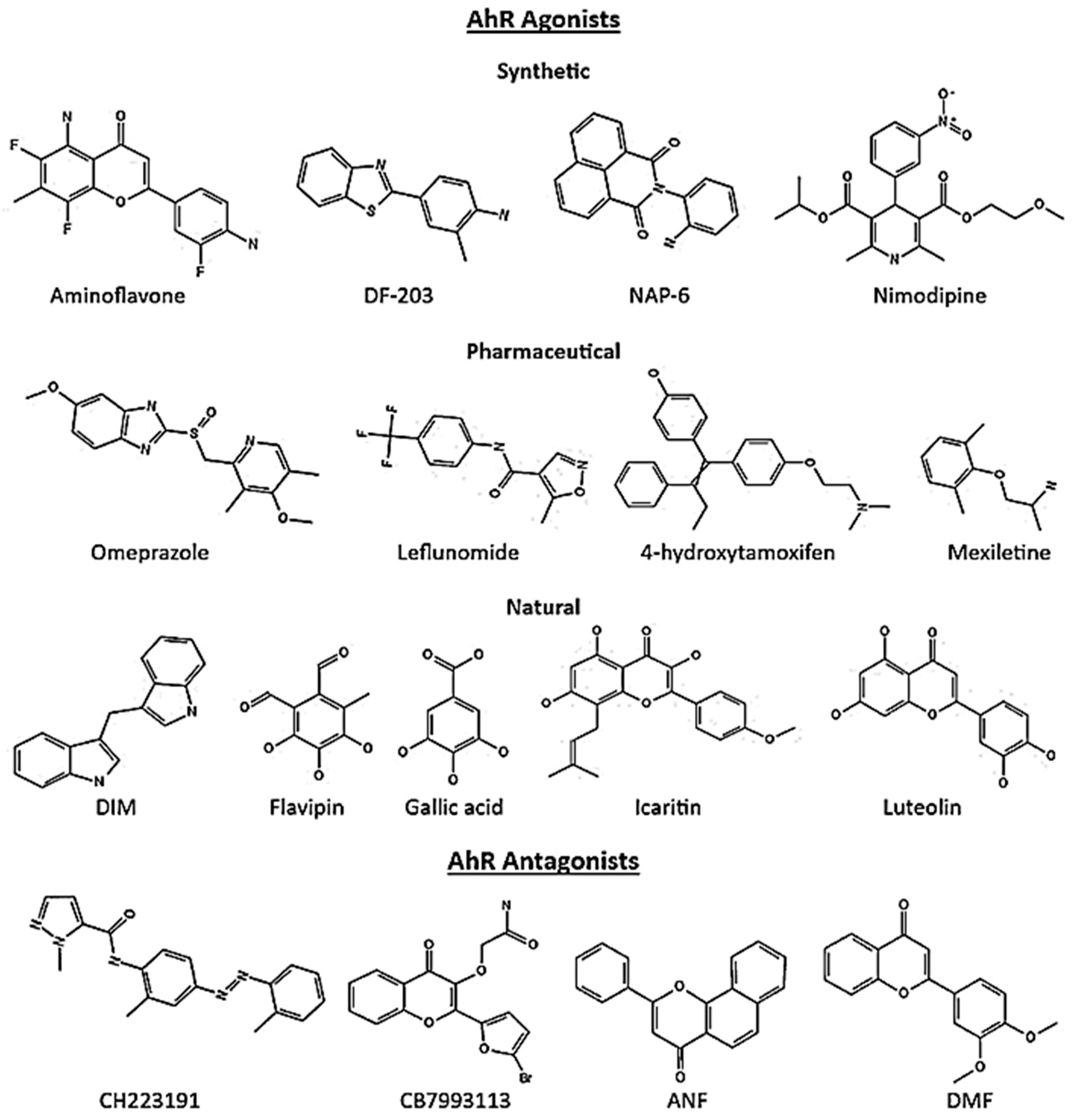 Aryl Hydrocarbon Receptor as an Anticancer Target: An Overview of Ten ...
