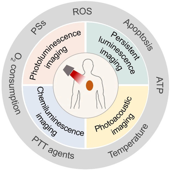 Visualization of Phototherapy Evolution by Optical Imaging