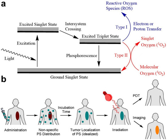 Visualization of Phototherapy Evolution by Optical Imaging