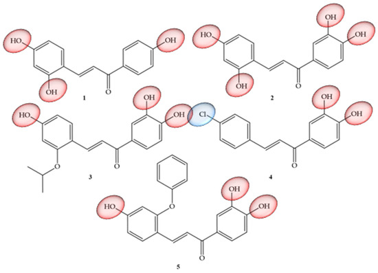 Anticancer Activity of Chalcones and Its Derivatives: Review and In ...