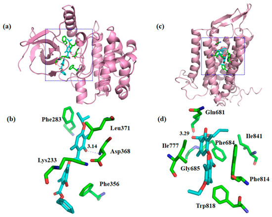 Semisynthesis, Biological Evaluation and Molecular Docking Studies of Barbatic Acid Derivatives ...