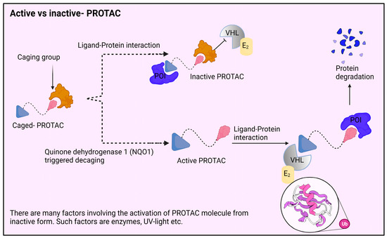 PROTACs: Emerging Targeted Protein Degradation Approaches for Advanced Druggable Strategies