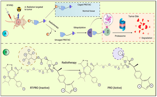 PROTACs: Emerging Targeted Protein Degradation Approaches for Advanced ...