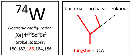 Molecules | Free Full-Text | The Development of Tungsten Biochemistry—A ...