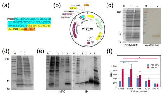 Selecting Nanobodies Specific for the Epidermal Growth Factor from a ...