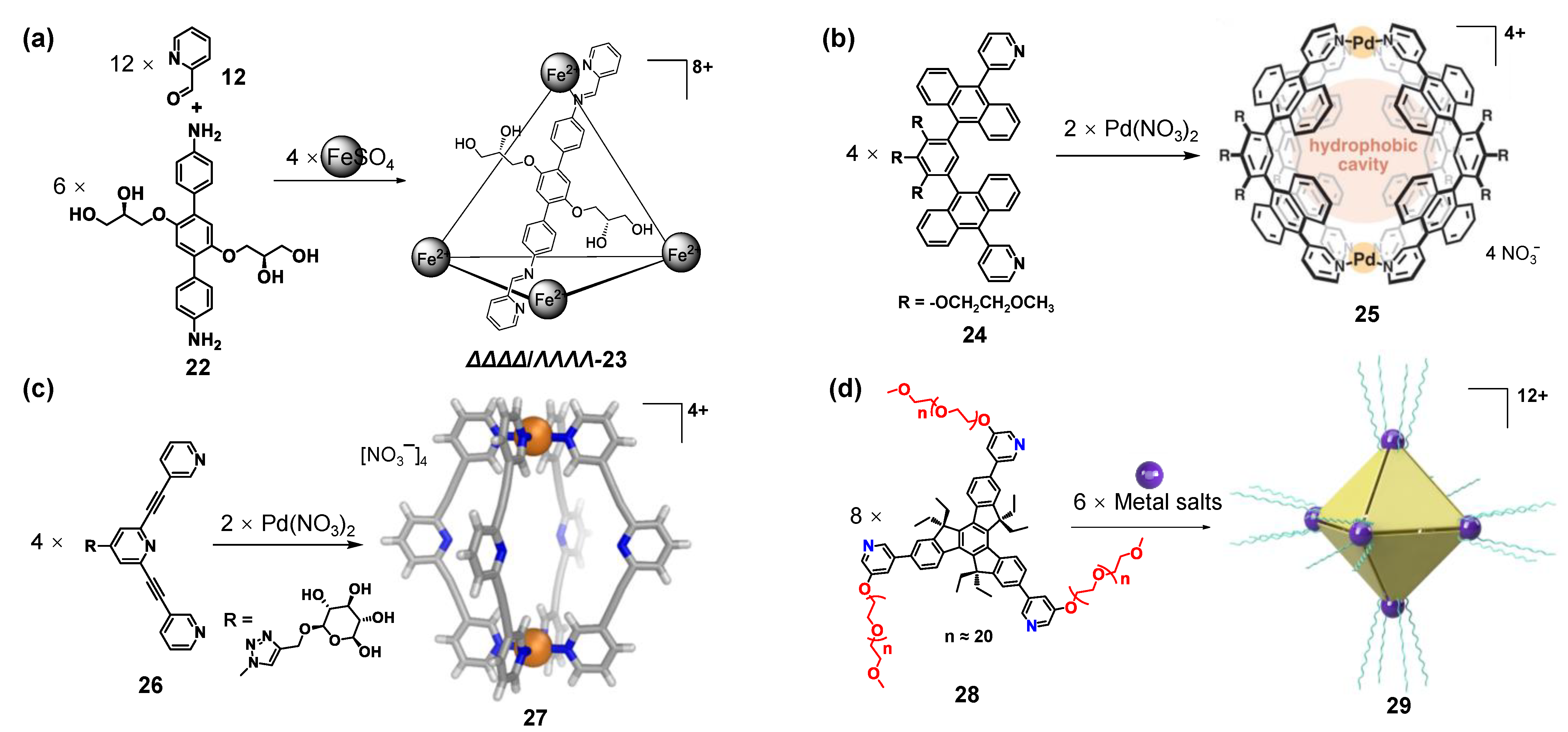 Molecules Free Full Text Photocatalysis In Water Soluble