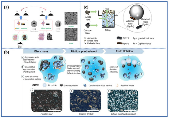 The Recycling of Spent Lithium-Ion Batteries: Crucial Flotation for the ...