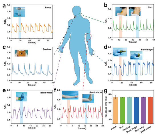 Flexible and Wearable Strain–Temperature Sensors Based on Chitosan/Ink ...