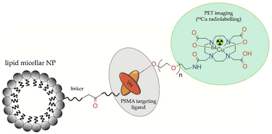 Nanoparticle-Based Radioconjugates for Targeted Imaging and Therapy of ...