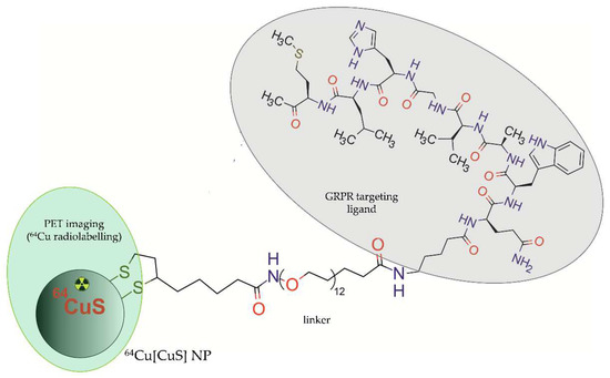 Nanoparticle-Based Radioconjugates for Targeted Imaging and Therapy of ...