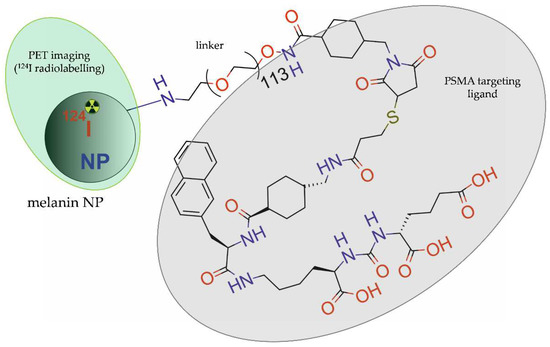 Nanoparticle-Based Radioconjugates for Targeted Imaging and Therapy of ...