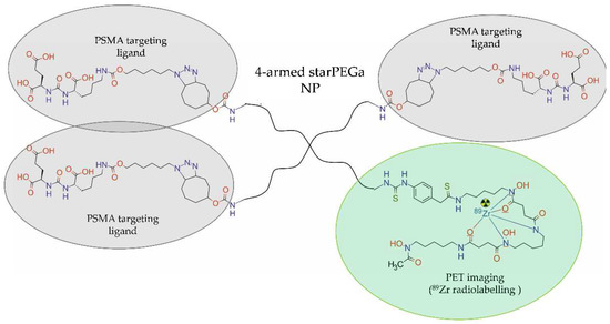Nanoparticle-Based Radioconjugates for Targeted Imaging and Therapy of ...
