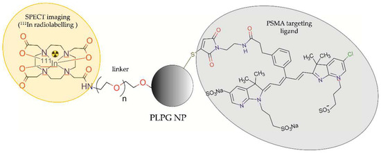 Nanoparticle-Based Radioconjugates for Targeted Imaging and Therapy of ...