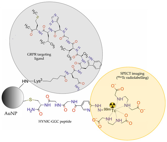 Nanoparticle-Based Radioconjugates for Targeted Imaging and Therapy of ...