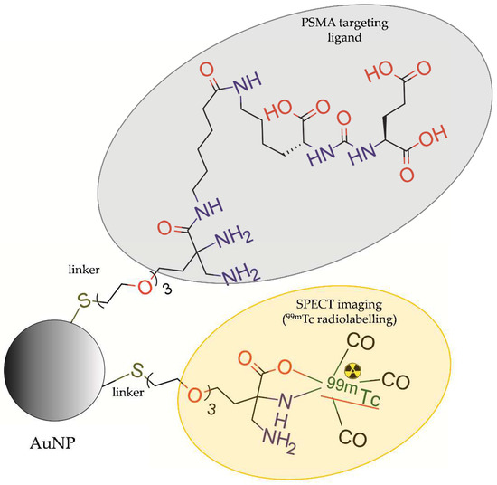 Nanoparticle-Based Radioconjugates for Targeted Imaging and Therapy of ...