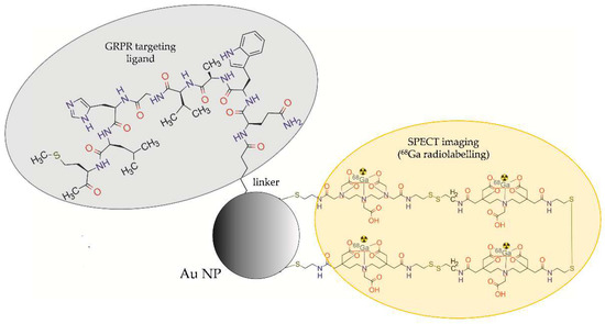 Nanoparticle-Based Radioconjugates for Targeted Imaging and Therapy of ...