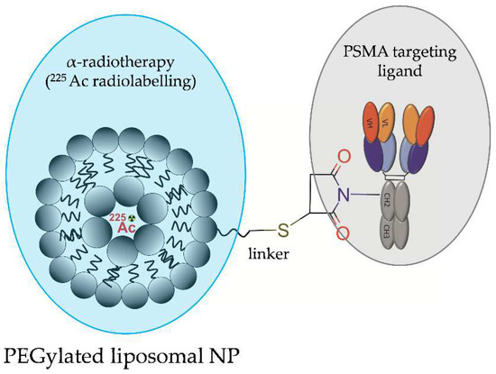 Nanoparticle-Based Radioconjugates for Targeted Imaging and Therapy of ...