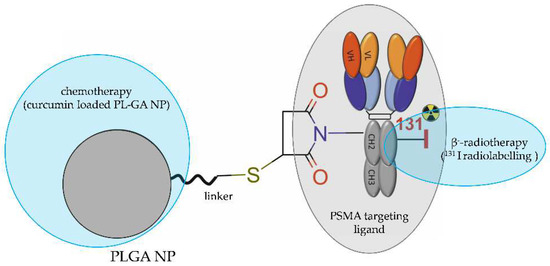 Nanoparticle-Based Radioconjugates for Targeted Imaging and Therapy of ...