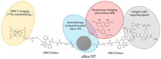 Nanoparticle-Based Radioconjugates for Targeted Imaging and Therapy of ...