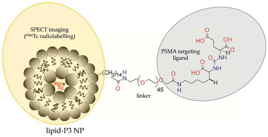 Nanoparticle-Based Radioconjugates for Targeted Imaging and Therapy of ...