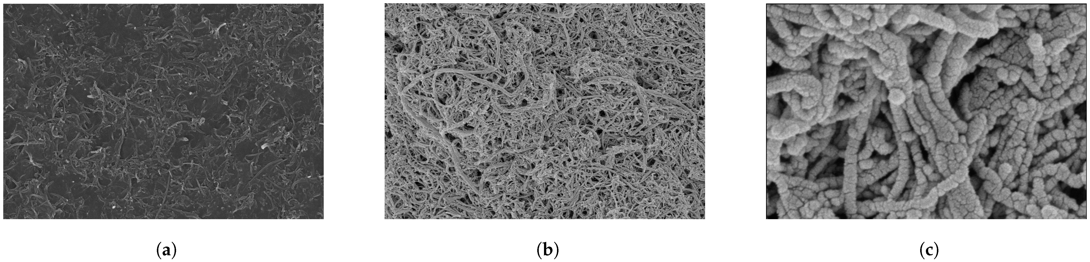 A Planar Disk Electrode Chip Based on MWCNT/CS/Pb2+ Ionophore IV ...