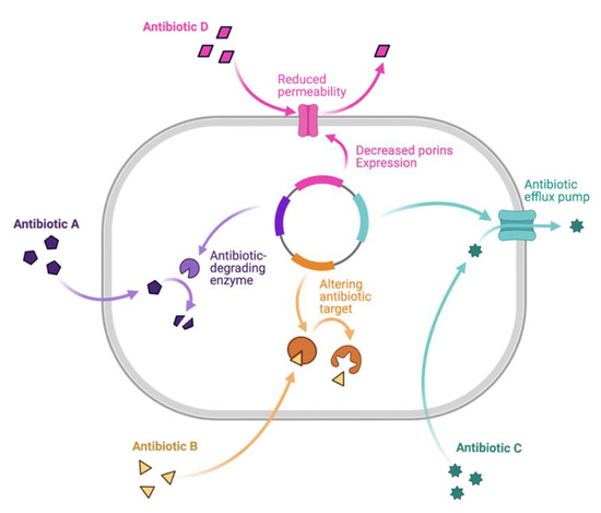 Combating Antimicrobial Resistance in the Post-Genomic Era: Rapid ...