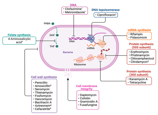 Combating Antimicrobial Resistance in the Post-Genomic Era: Rapid ...