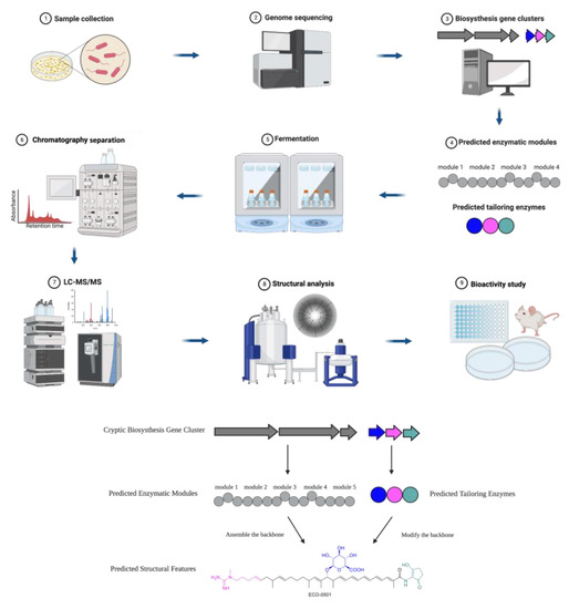 Combating Antimicrobial Resistance in the Post-Genomic Era: Rapid ...