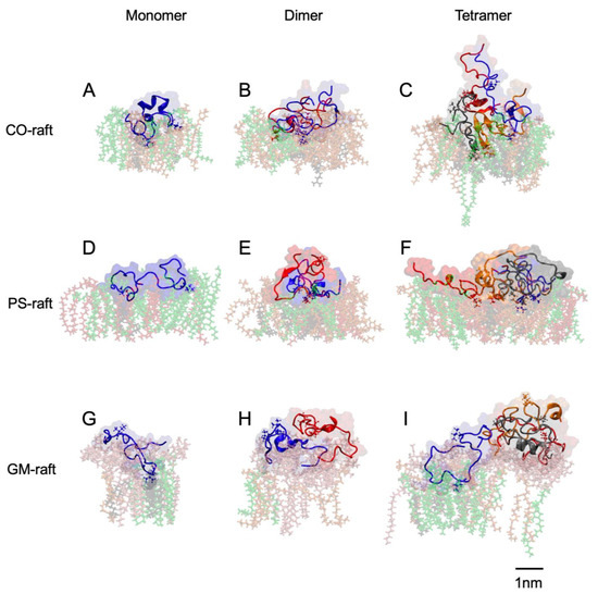 Molecules | Free Full-Text | Exploring the Role of Anionic Lipid ...