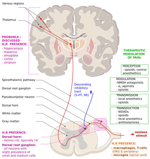 Molecules | Free Full-Text | Trisubstituted 1,3,5-Triazines as ...