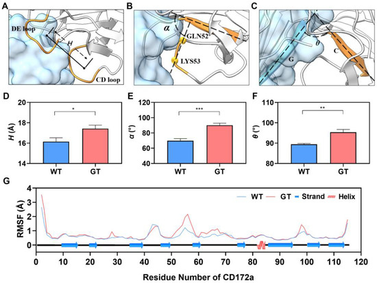 A MD Simulation Prediction for Regulation of N-Terminal Modification on ...