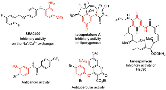 Synthesis of meta-Aminophenol Derivatives via Cu-Catalyzed [1,3 ...