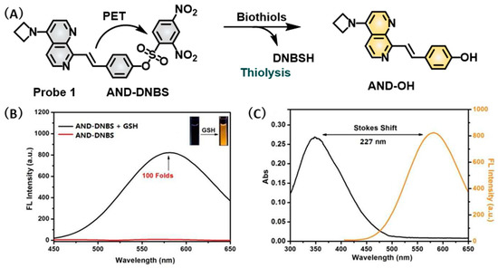 Recent Progress in the Rational Design of Biothiol-Responsive ...