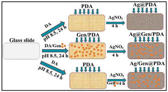 Investigation of Antimicrobial Effects of Polydopamine-Based Composite ...