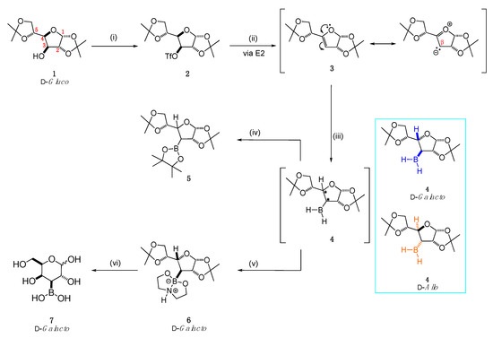 Molecules | Free Full-Text | Diastereoselective Synthesis of the ...